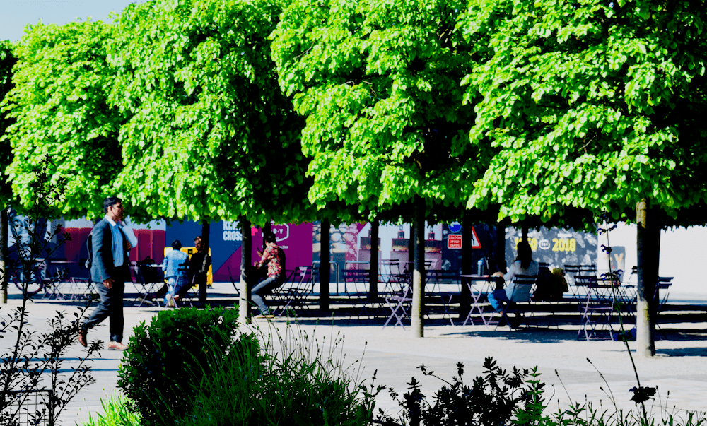 Climate Risk - Planet Pod - Essential listening for everyone who cares ...