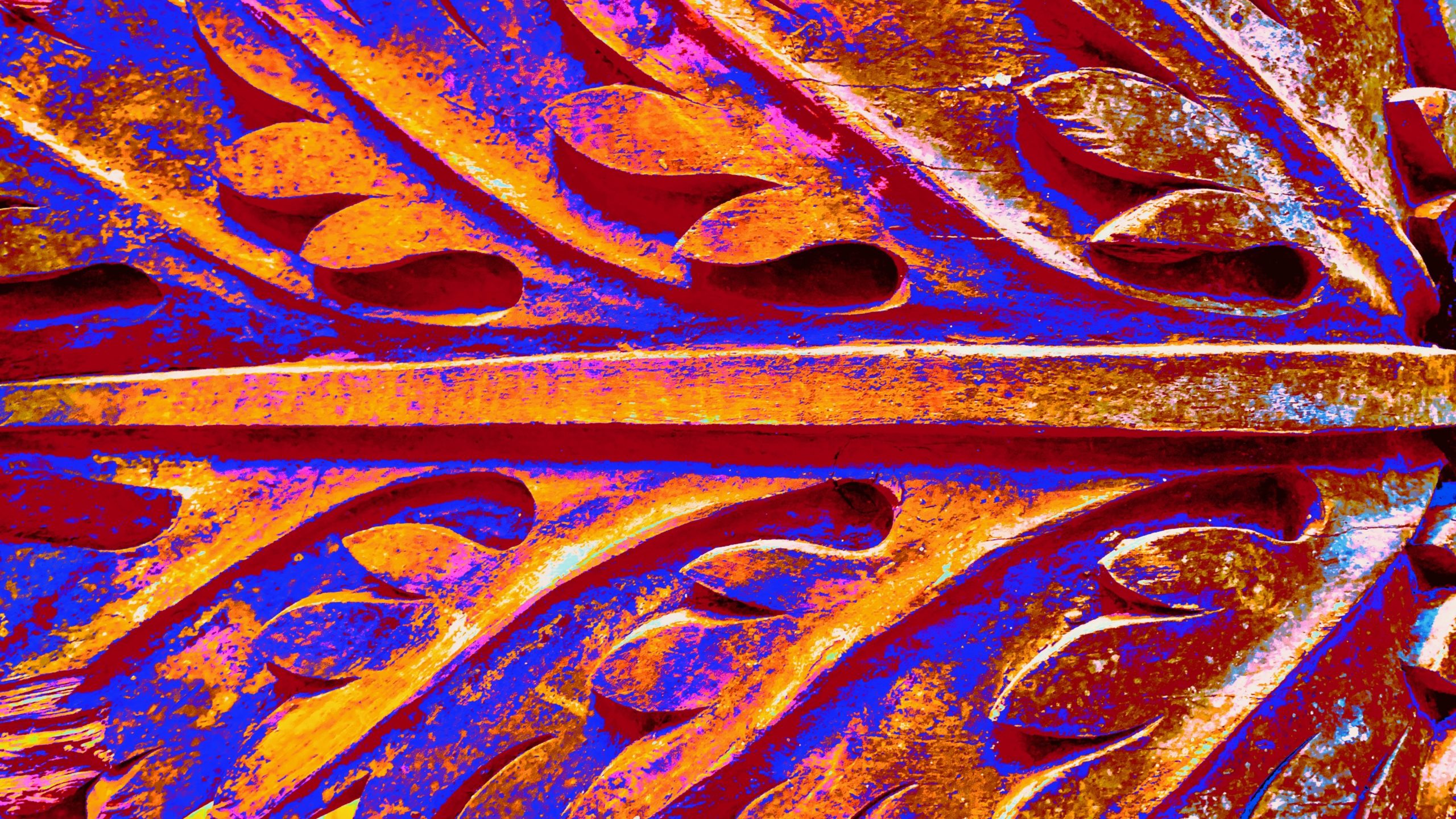 PP's Call to Action! - Planet Pod